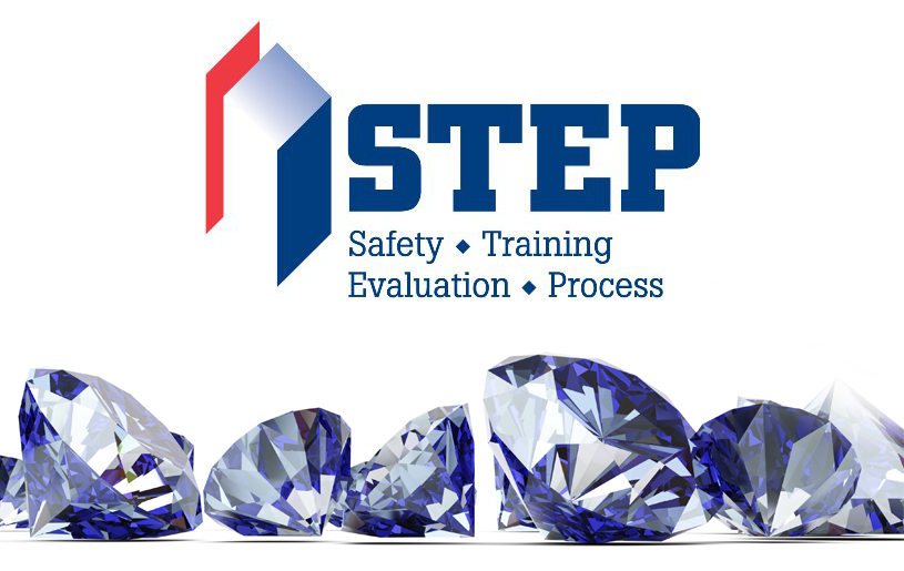 STEP Diamond Level 2017 - MKD